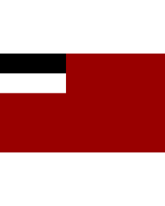 2004 georgia flag