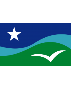 Flag: An proposed flag of Martha s Vineyard in the 1970s | landscape ...