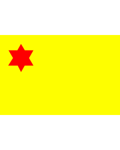Flag: Hypothetical flag of Xīnjiāng province under warlord governor ...