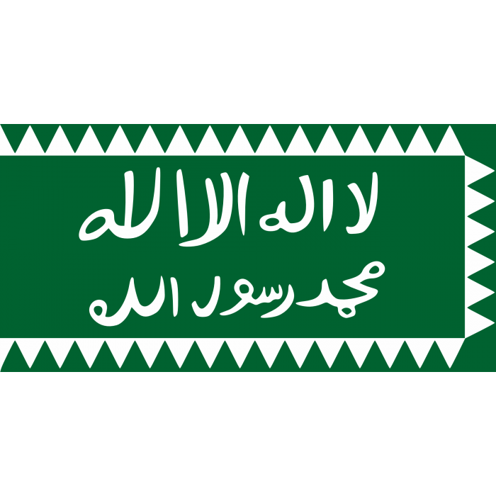 Bandera: Asir | Emirate of Asir منطقة عسير during its independence ...