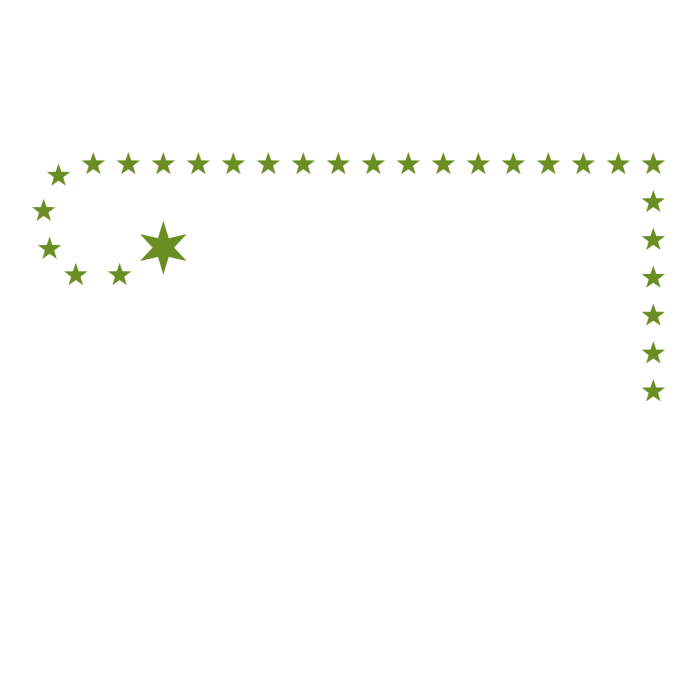 Bandera de Municipio de La Argentina Huila | bandera horizontal | 1 ...