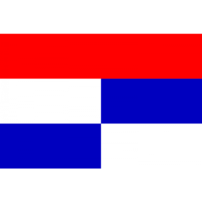 Flag: Partisan | An early Yugoslav WW2 partisan flag that was used in ...