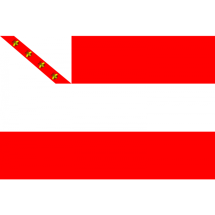 Flag: Princedom of Elba naval | Naval jack of the Principality of Elba ...