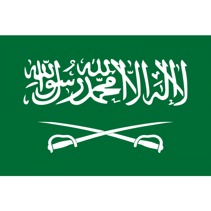 Flag: Royal Standard of Saudi Arabia 1953-1964 | landscape flag | 1 ...