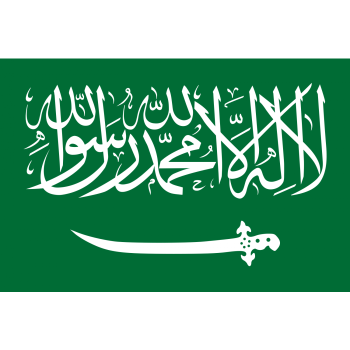 Flag: Variant of the Saudi Arabian flag in use from 1938 to 1973 ...