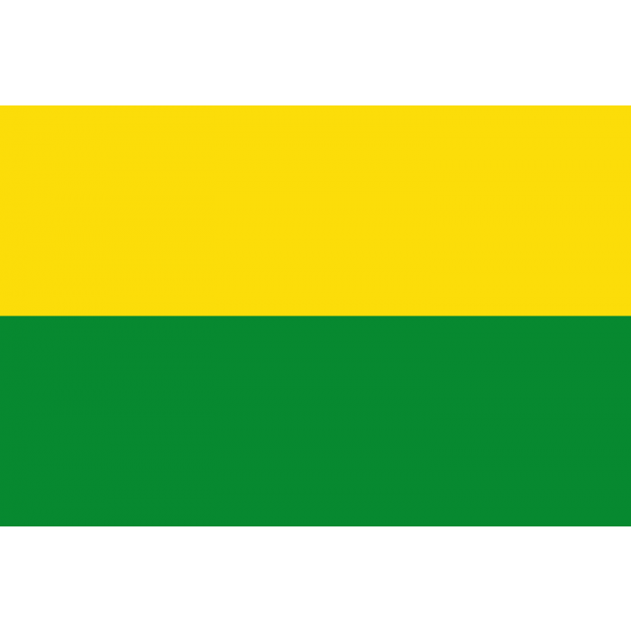 Flag: Town of Togüí; in Boyacá, Colombia | landscape flag | 1.35m² | 14 ...