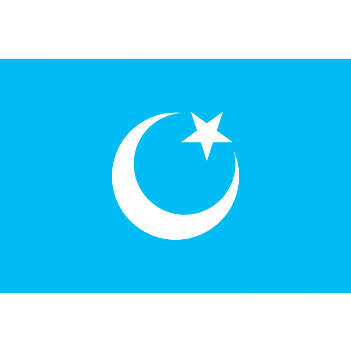 Flag: Turkic Union | landscape flag | 1.35m² | 14.5sqft | 90x150cm | 3x5ft