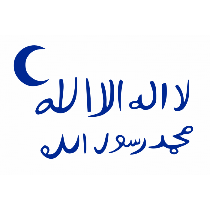 Flag: Upper Asir | Shortlived Sheikdom of Upper en Asir empty ...